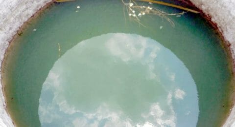 My Well Water Tested Positive for Coliform: What’s Next?