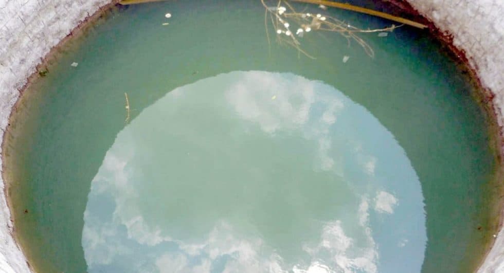 My Well Water Tested Positive for Coliform: What’s Next?